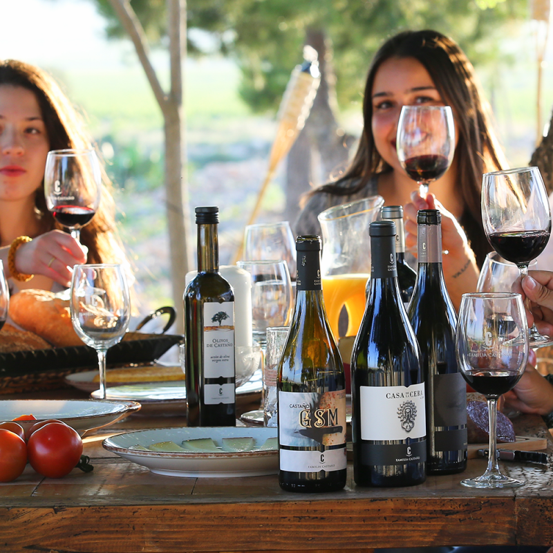 Our wines | Bodegas Castaño | Shop online